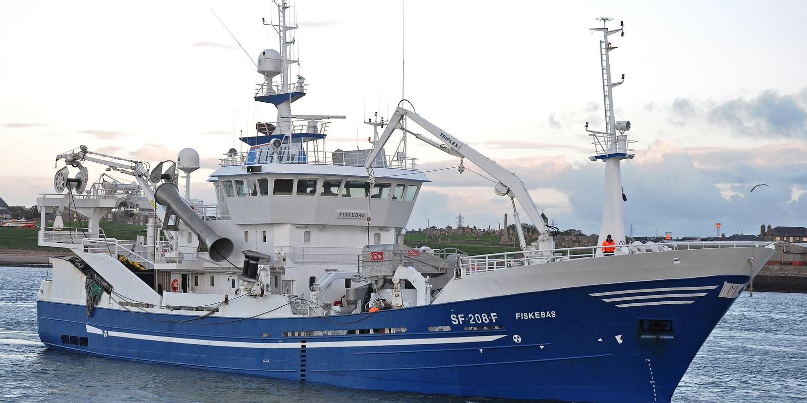 Mackerel drives 15% boost in Scottish landings | IntraFish.com