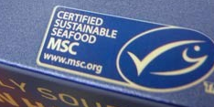 UK fish and chip shop awarded MSC certification | IntraFish.com