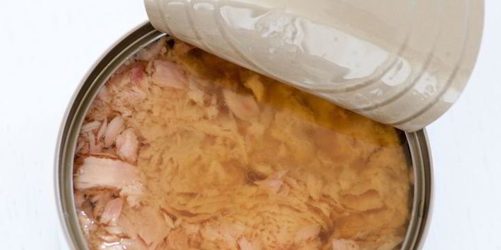 Bolton Group buys Spanish firm Conservas Garavilla | IntraFish.com