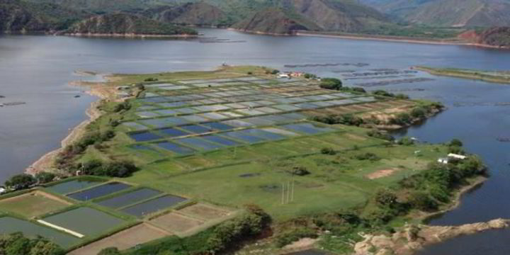Picture Gallery: PezCo, Piscicola Botero and allied farms | IntraFish.com