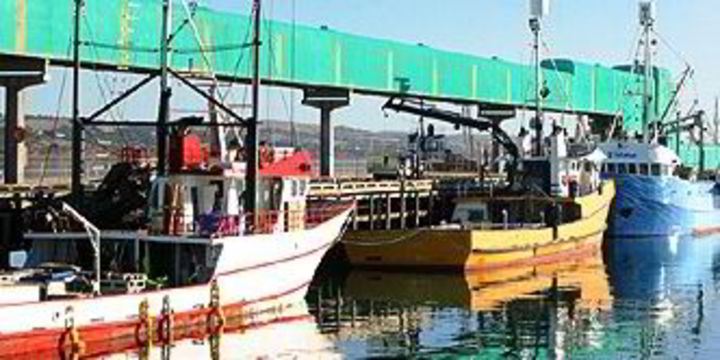 Last Aussie tuna cannery closing | IntraFish.com