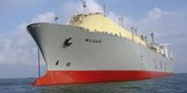 Awilco LNG cuts deficit | TradeWinds