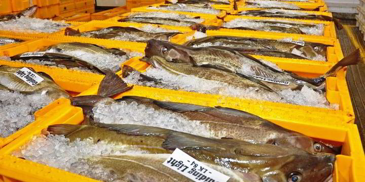 'Balanced approach' to fishing | IntraFish.com