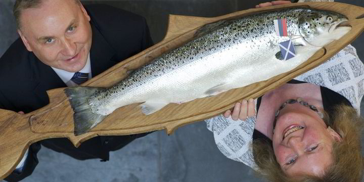 New CEO for salmon farmer | IntraFish.com