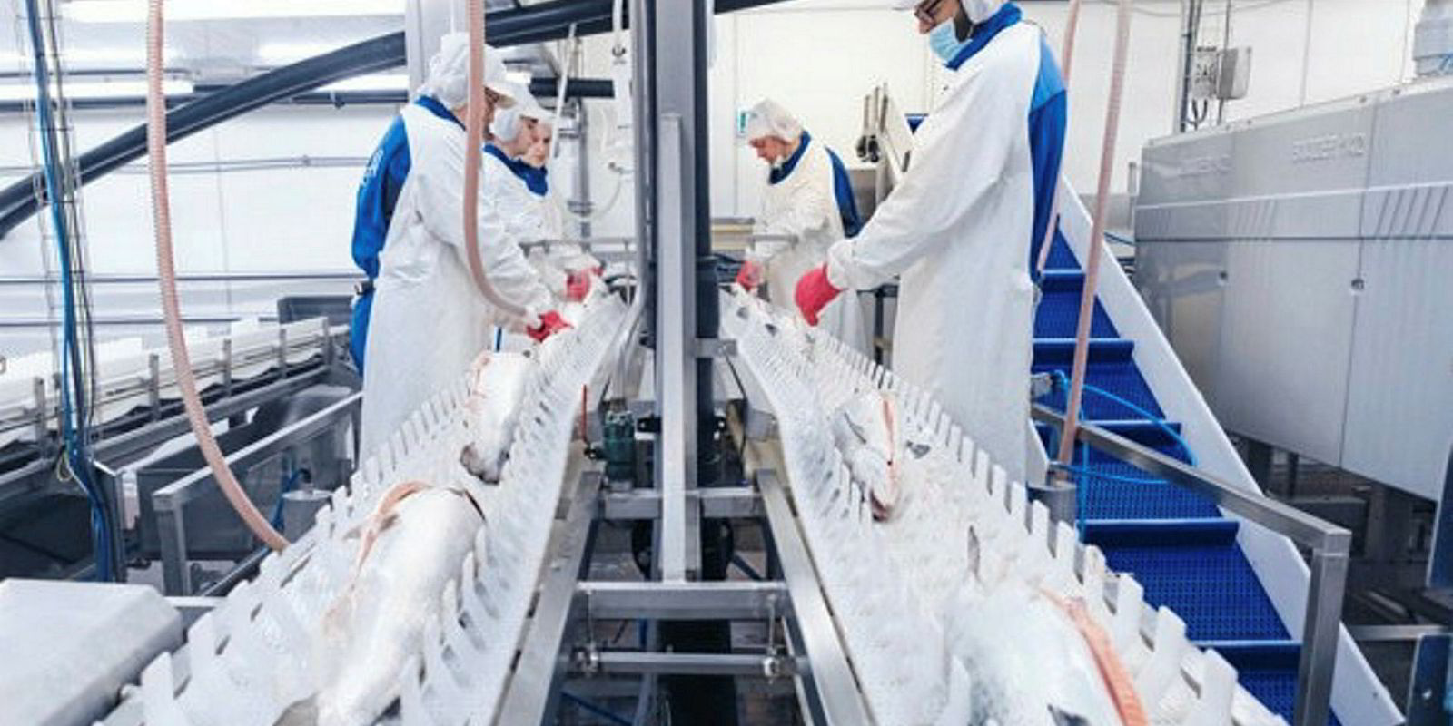 PHOTOS: A look inside Cermaq's 'most efficient' salmon processing ...