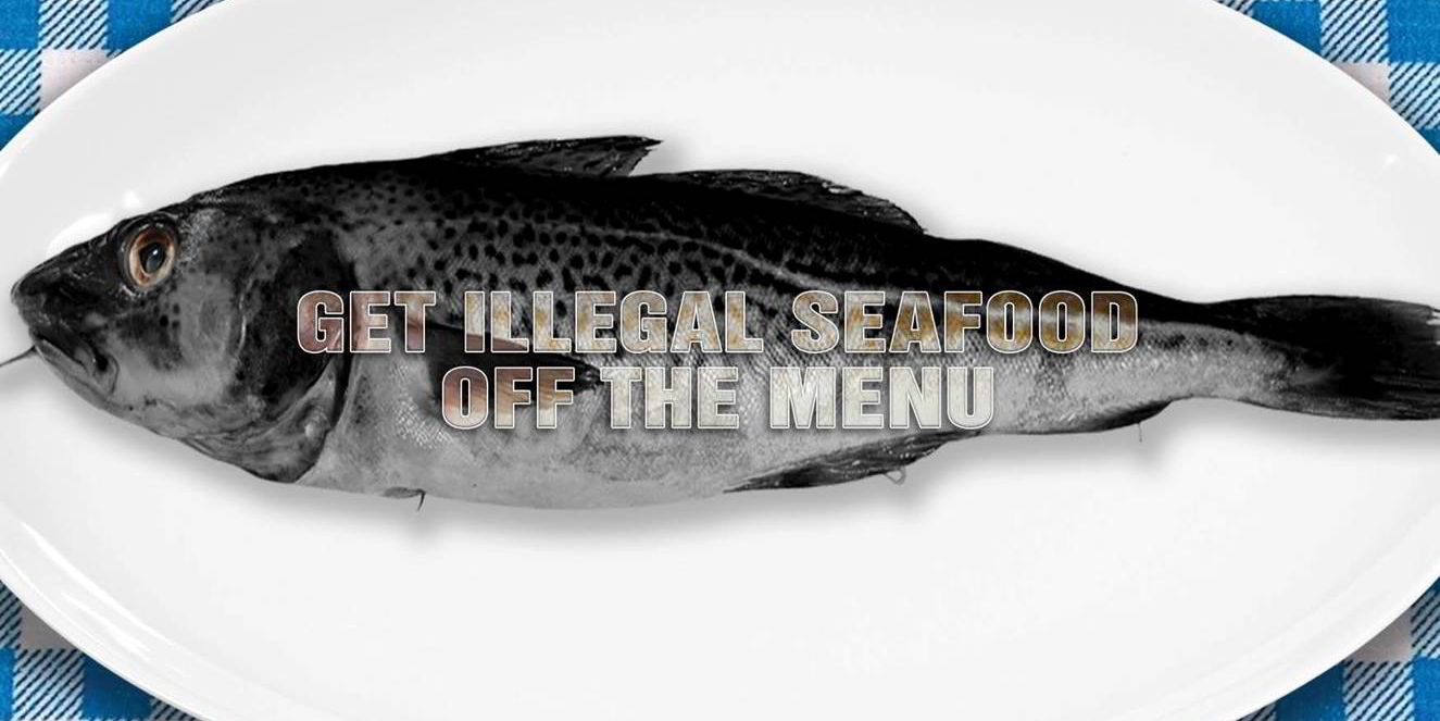 UK caterers told to crack down on illegal fish | IntraFish.com
