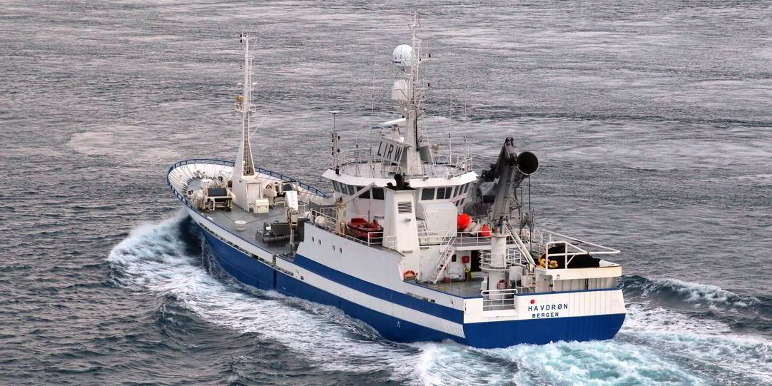 Stor interesse for lodda hos kjøperne | Fiskeribladet