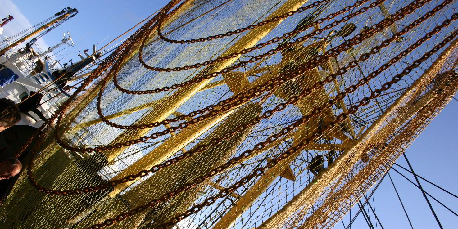 Ocean Trawlers parent, WWF to back research on 'eco-friendly' bottom ...