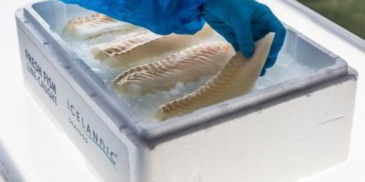 Iceland eyes US as the next big fresh cod market | IntraFish.com