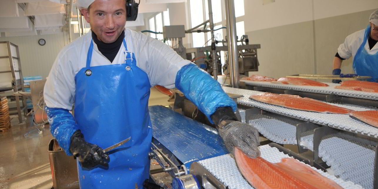 Danish salmon processor thrilled with Norway prices | IntraFish.com