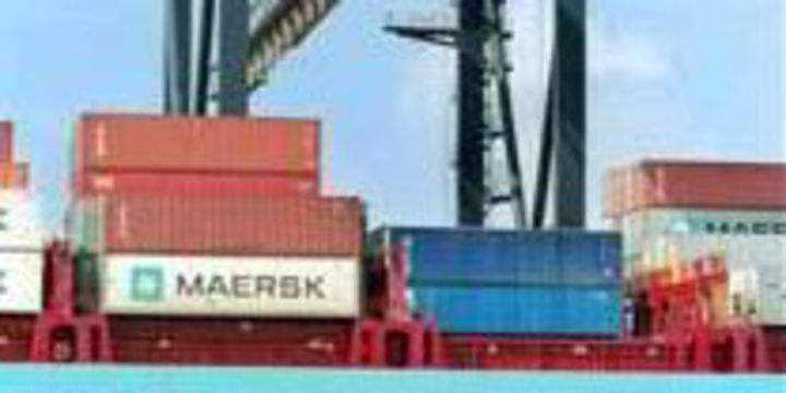 Lines share transpac | TradeWinds