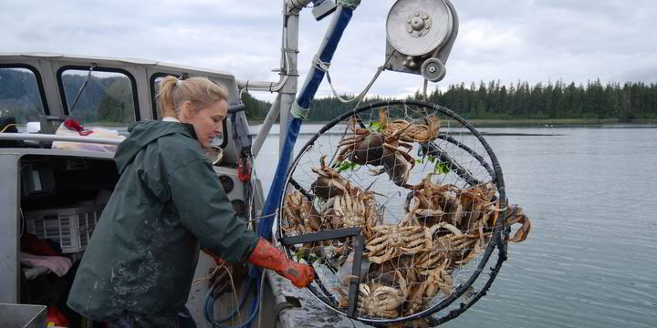 InDepth: Women in seafood | IntraFish.com