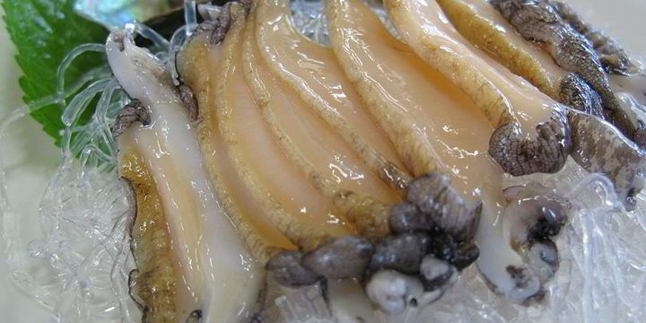 Owner of Australia's biggest abalone farm sells distribution division ...