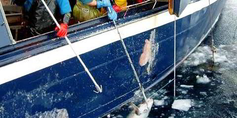 Australian toothfish fishery gets MSC | IntraFish.com