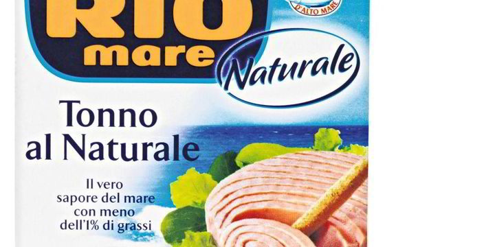 Bolton's Rio Mare launches new tuna traceability system | IntraFish.com