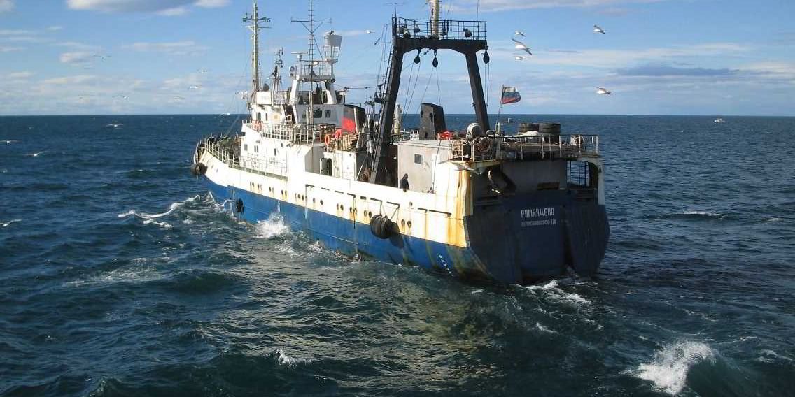 Russia producing more sea-frozen pollock fillets, less surimi ...