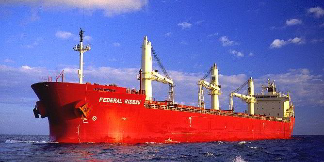 Fednav bulker grounds | TradeWinds