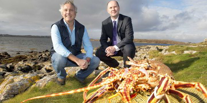 Irish shellfish firm tackles French market | IntraFish.com
