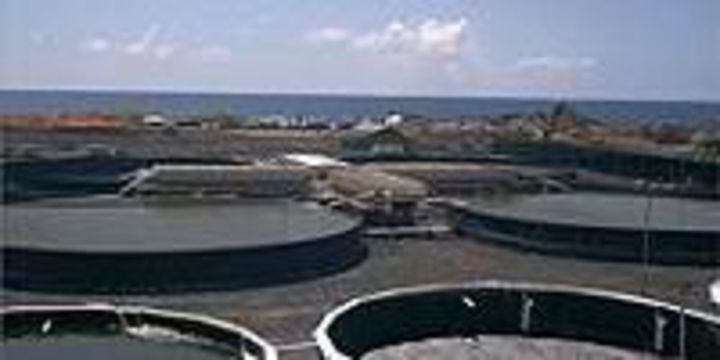 World's first hydropower shrimp farm in Hawaii | IntraFish.com