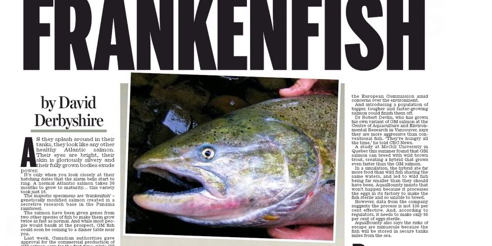 'How long before you are eating frankenfish?' | IntraFish.com