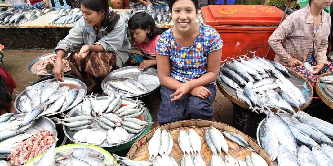 World Food Security Committee spells out the future of seafood ...