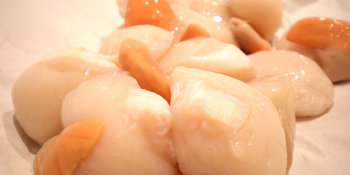 Eastern to start scallop aquaculture in China | IntraFish.com