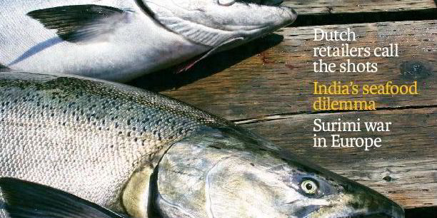 IntraFish publisher unveils new seafood publication | IntraFish.com