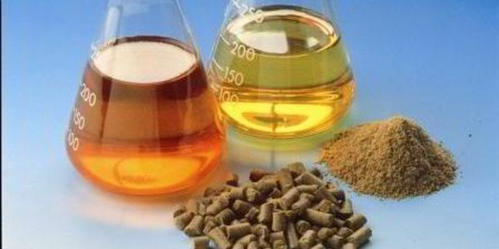 New fishmeal, fish oil company gets green light from EU | IntraFish.com
