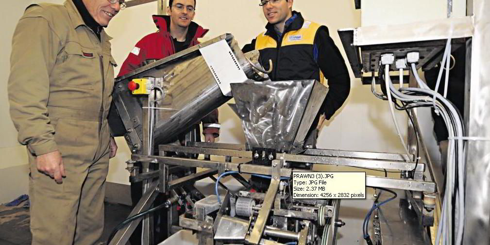 €88,000, 120 prawn-a-minute, tailing machine sparks interest ...