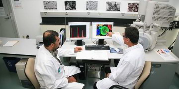 Aramco to automate seismic process | Upstream Online