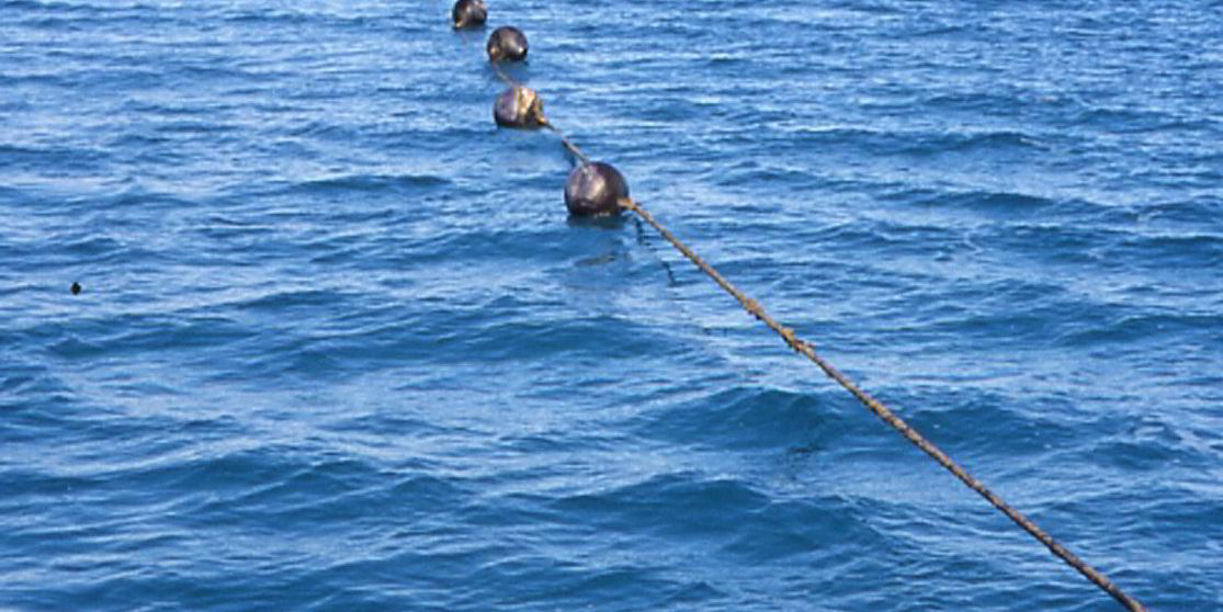 Cyclone Winston smacks Fiji's fish farms with $1.7 million worth of ...