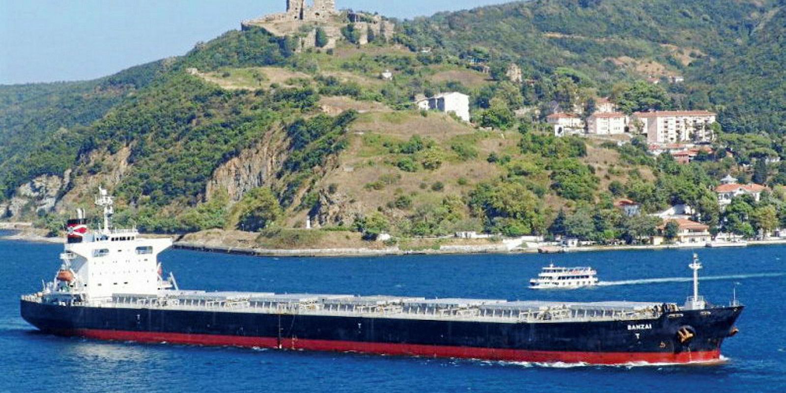 Investors to take haircut on Orion bulker bought in boom | TradeWinds