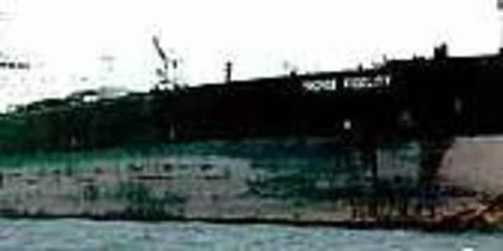 Top confirms Stelmar interest | TradeWinds