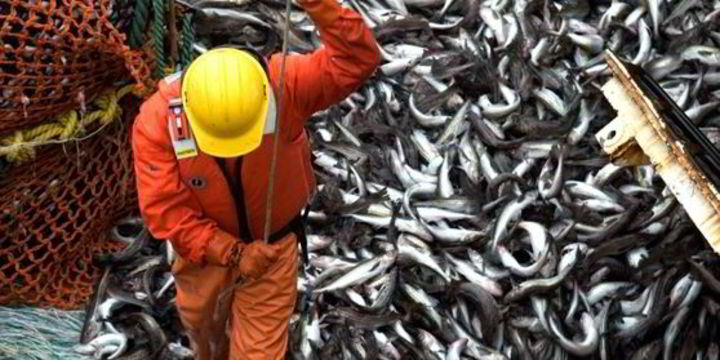 Buyers: Russian MSC pollock approval is history in making | IntraFish.com