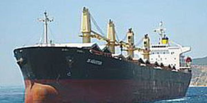 Vroon ship dodges pirates | TradeWinds