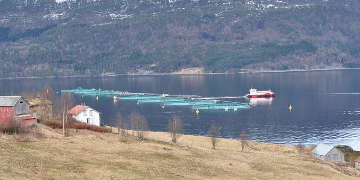 Mattilsynet avslo PD-klagene fra Marine Harvest og Salmar | IntraFish.no Mattilsynet avslo PD-klagene fra Marine Harvest og Salmar | IntraFish.no