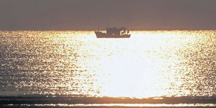 Shell hands out Malikai TLP award | Upstream Online