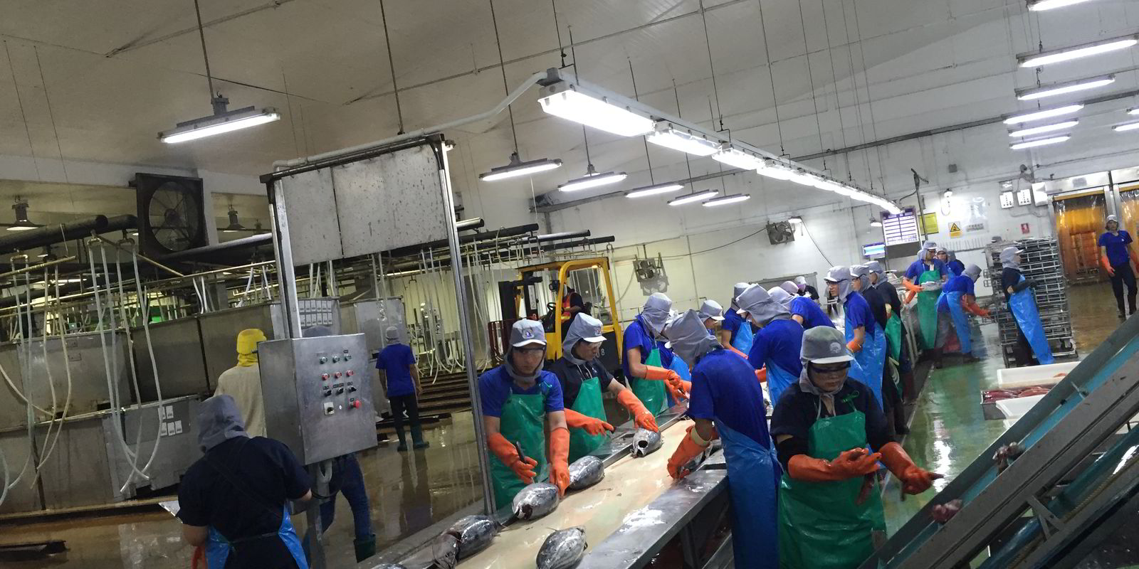 Thai Union eliminates worker recruitment fees | IntraFish.com