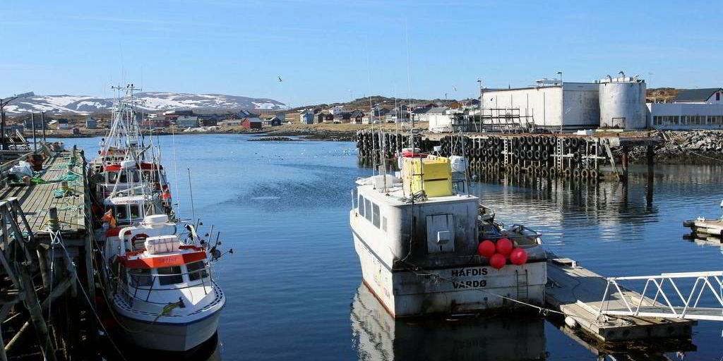 Fortsatt overskudd i Gamvik Seafood | Fiskeribladet
