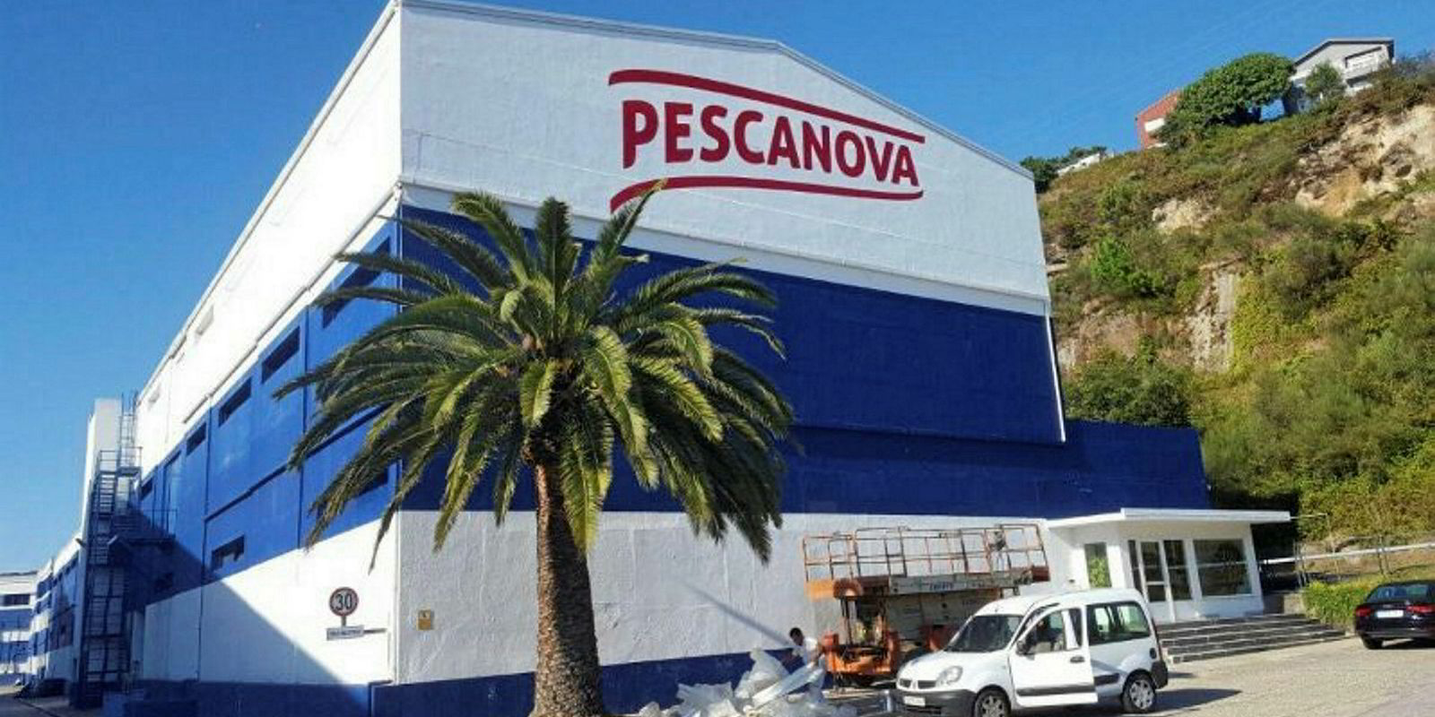 Pescanova launches new octopus products | IntraFish.com