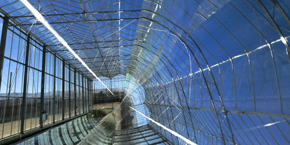 Shell eyes renewables for African projects | Upstream Online