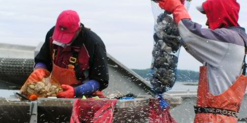 Will Alaska finally embrace aquaculture? | IntraFish.com