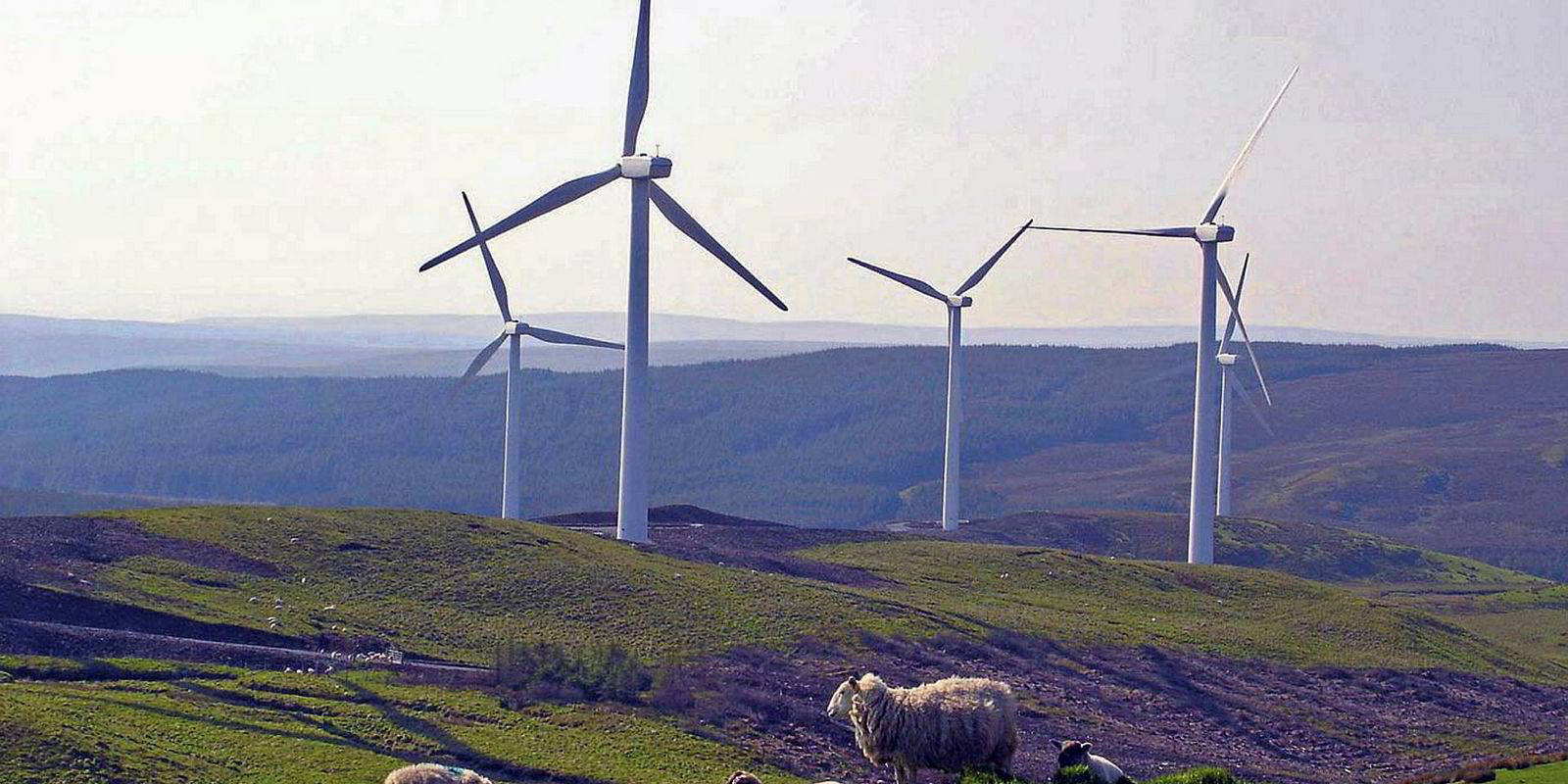 Vattenfall’s 228MW Pen y Cymoedd wind farm opened by First Minister ...