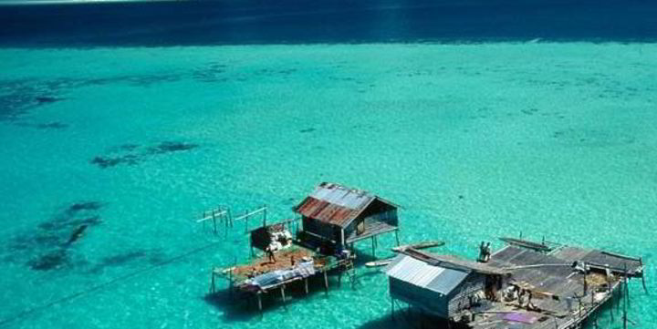 Sime ties up Sumandak platform | Upstream Online