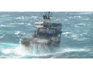 Deep Sea floats ship contracts | Upstream Online