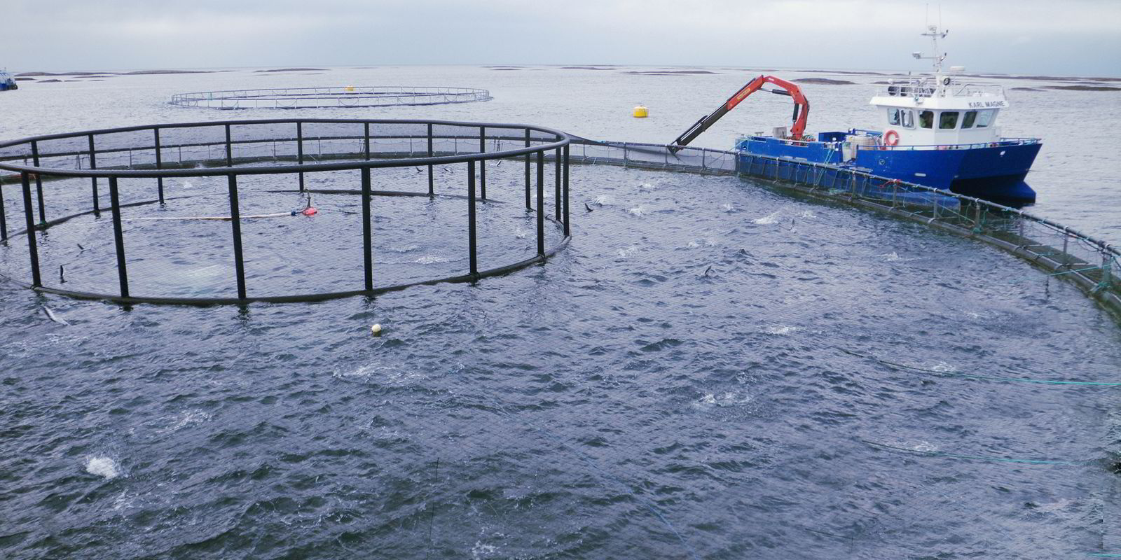 Spain to invest $452 million into aquaculture plan | IntraFish.com