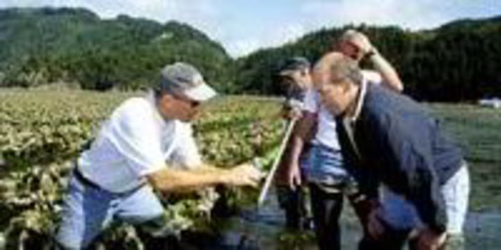 Ocean changes impacting shellfish | IntraFish.com