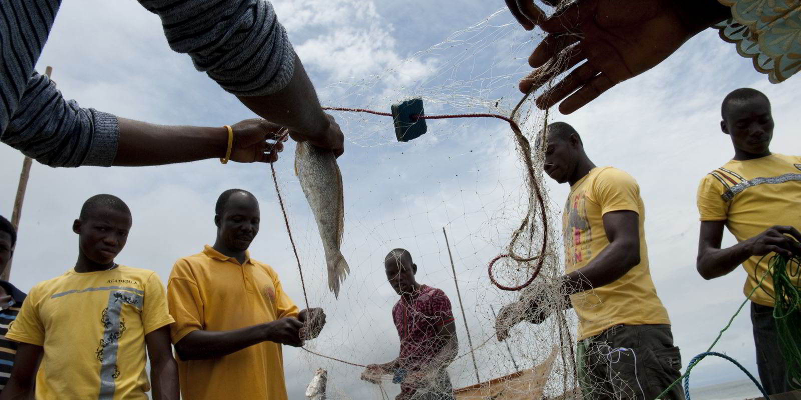 Nutreco invests in Nigerian small-scale fish farming sector | IntraFish.com