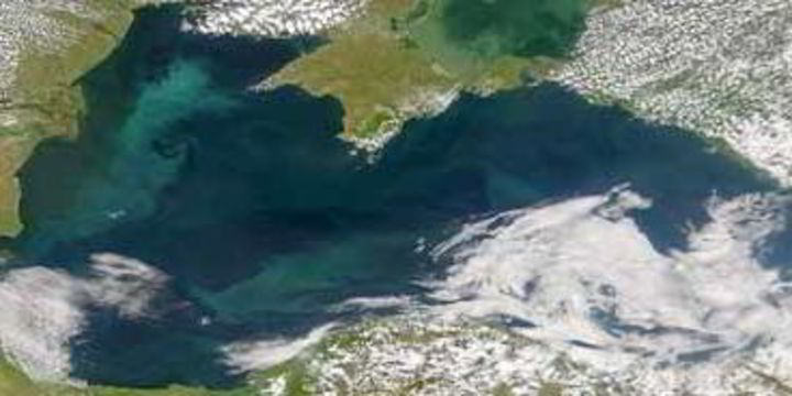 Arkas Line adds service | TradeWinds