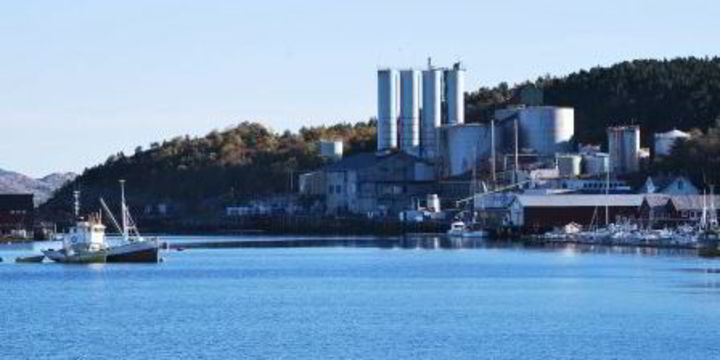 Paine & Partner's Scanbio Marine ends another year in the red ...